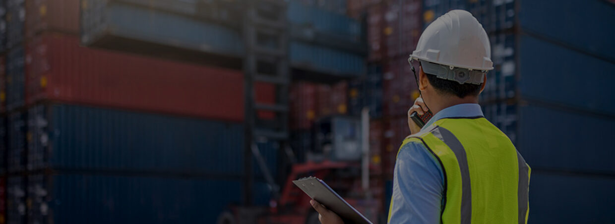 UNDERSTANDING THE CUSTOMS PROCEDURES - Smartlink