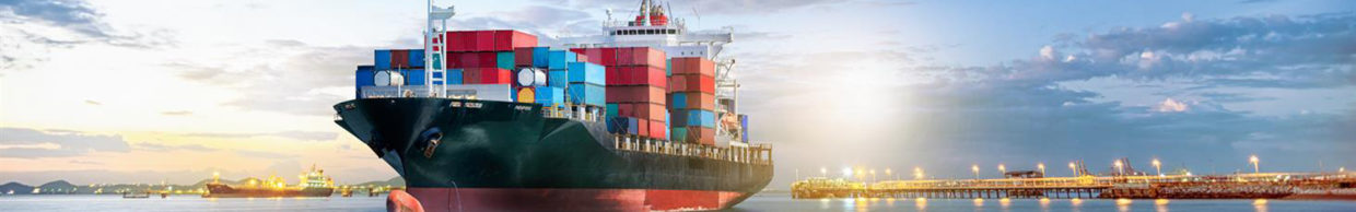 TÌM HIỂU CHI TIẾT VỀ EDO LÀ GÌ VÀ LỢI ÍCH CỦA EDO - Smartlink