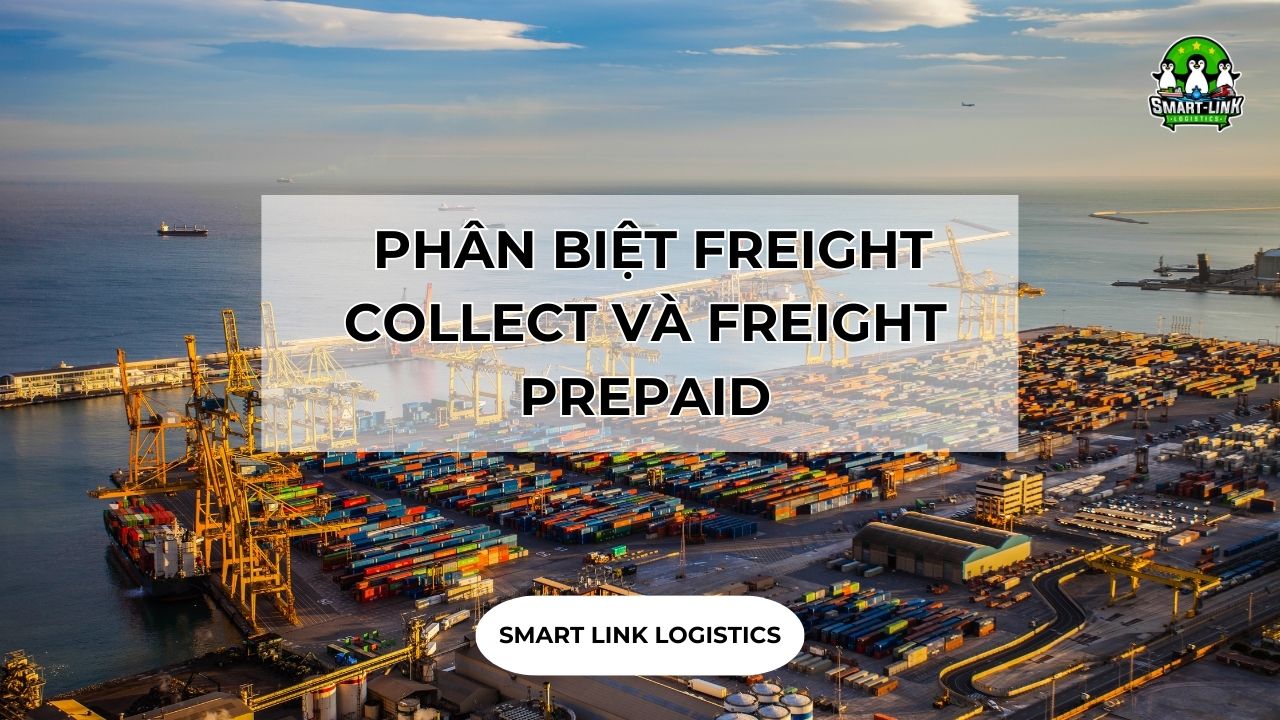 FREIGHT COLLECT LÀ GÌ? PHÂN BIỆT FREIGHT COLLECT VÀ FREIGHT PREPAID ...