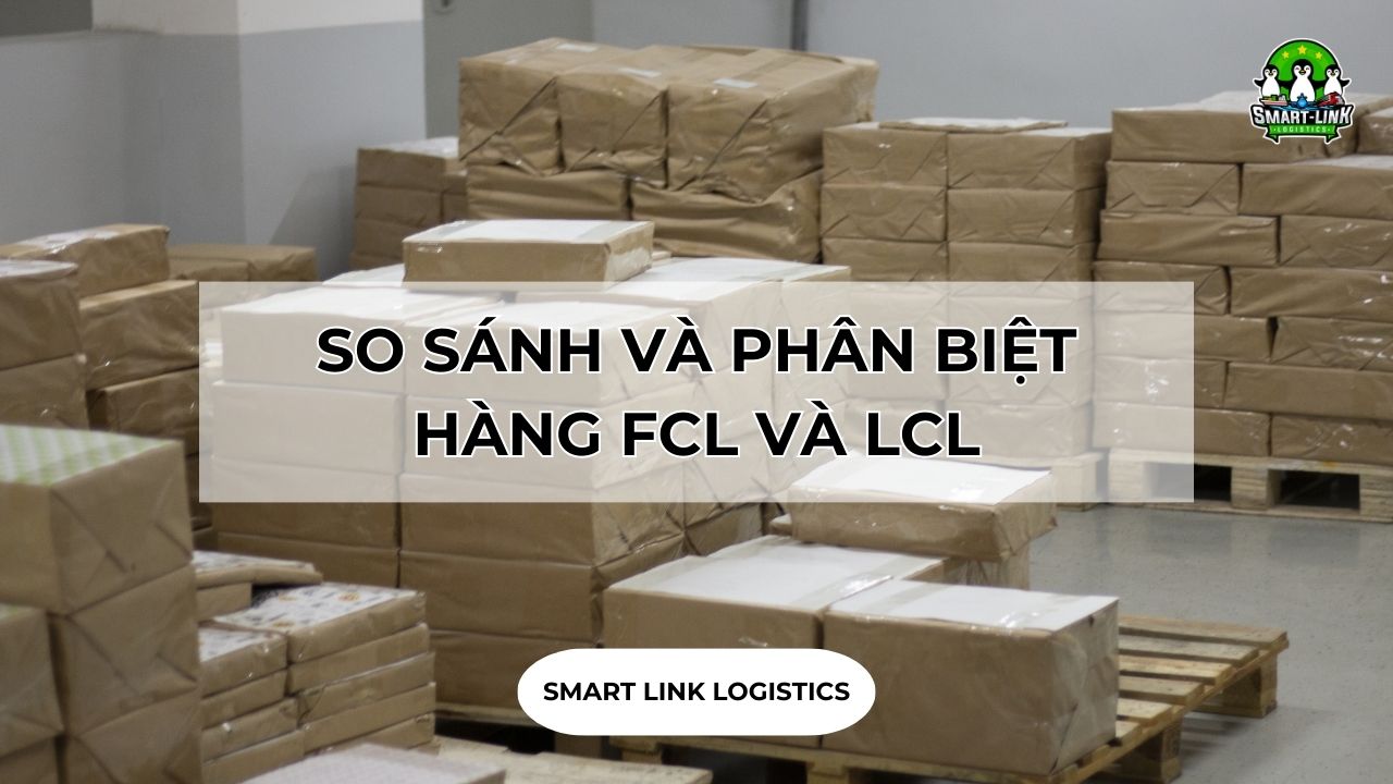SO SÁNH VÀ PHÂN BIỆT HÀNG FCL VÀ LCL - Smartlink