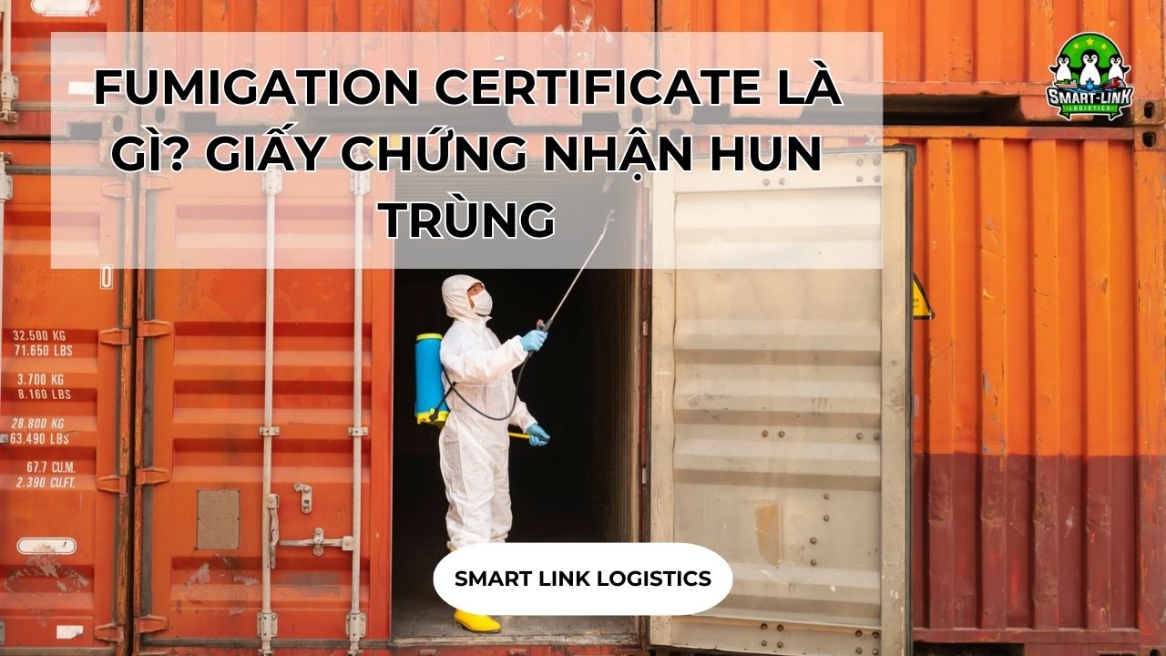 FUMIGATION CERTIFICATE LÀ GÌ? GIẤY CHỨNG NHẬN HUN TRÙNG - Smartlink