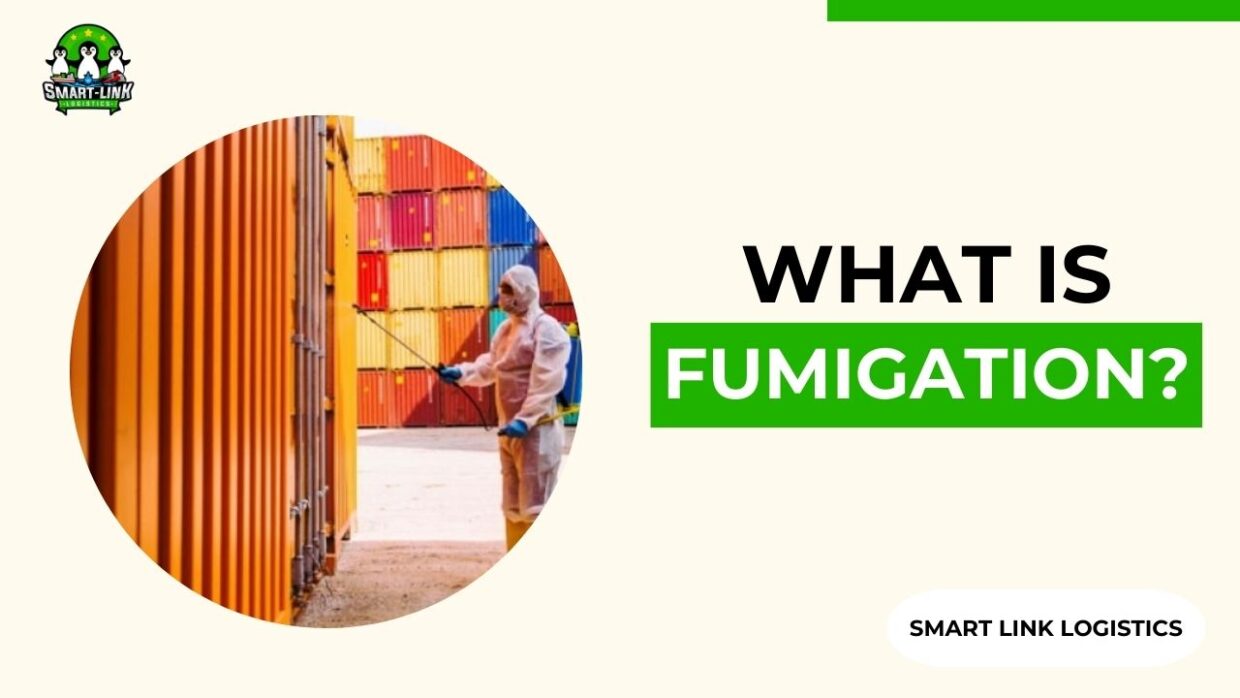 WHAT IS FUMIGATION? UNDERSTANDING GOODS FUMIGATION - Smartlink