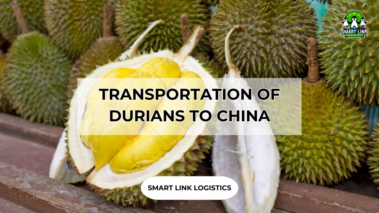 TRANSPORTATION OF DURIANS TO CHINA - Smartlink