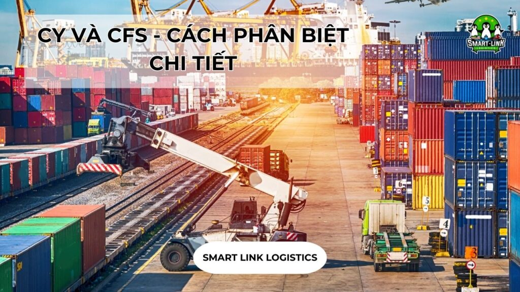 CY VÀ CFS - CÁCH PHÂN BIỆT CHI TIẾT - Smartlink