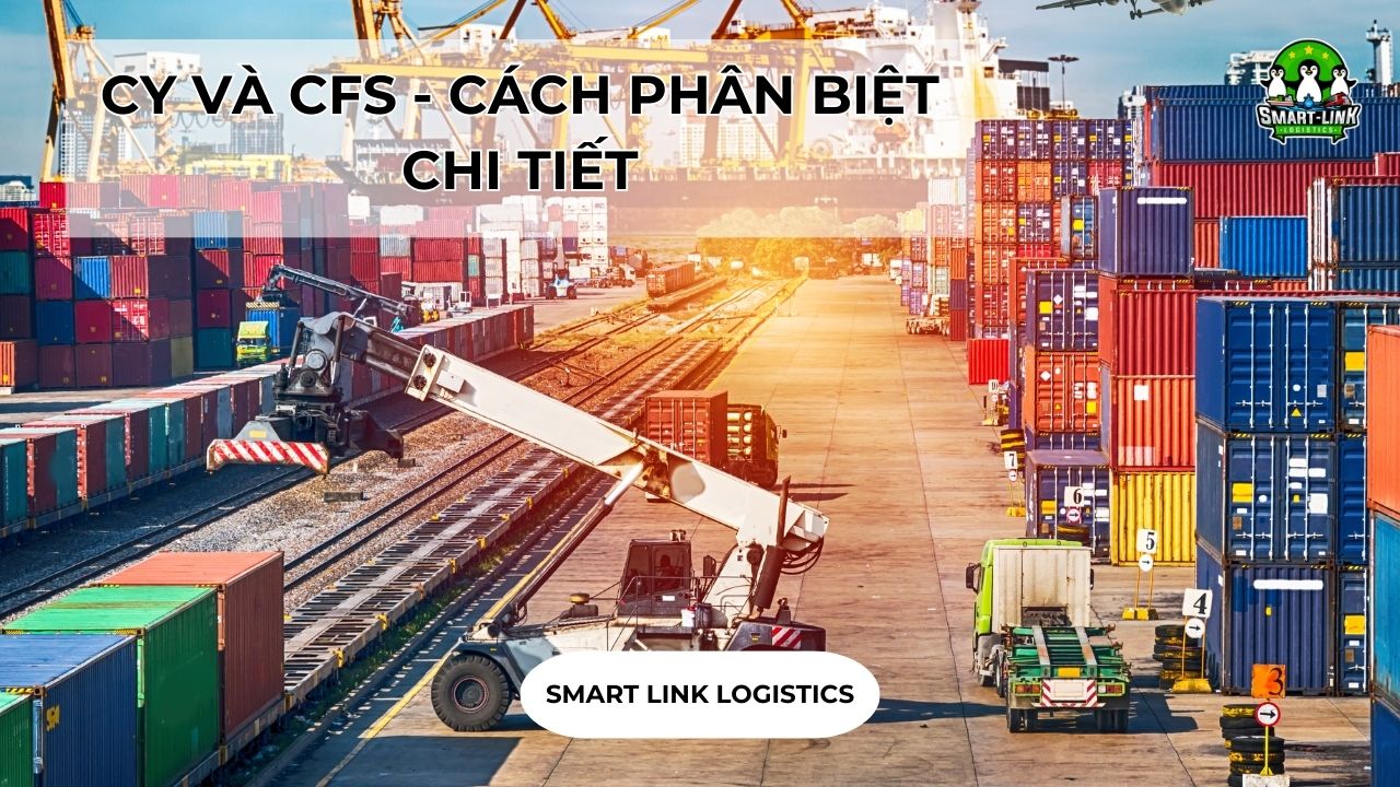 CY VÀ CFS - CÁCH PHÂN BIỆT CHI TIẾT - Smartlink