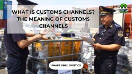 WHAT IS CUSTOMS CHANNELS? THE MEANING OF CUSTOMS CHANNELS - Smartlink