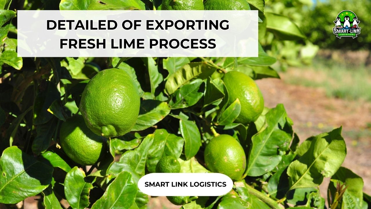 DETAILED OF EXPORTING FRESH LIME PROCESS - Smartlink