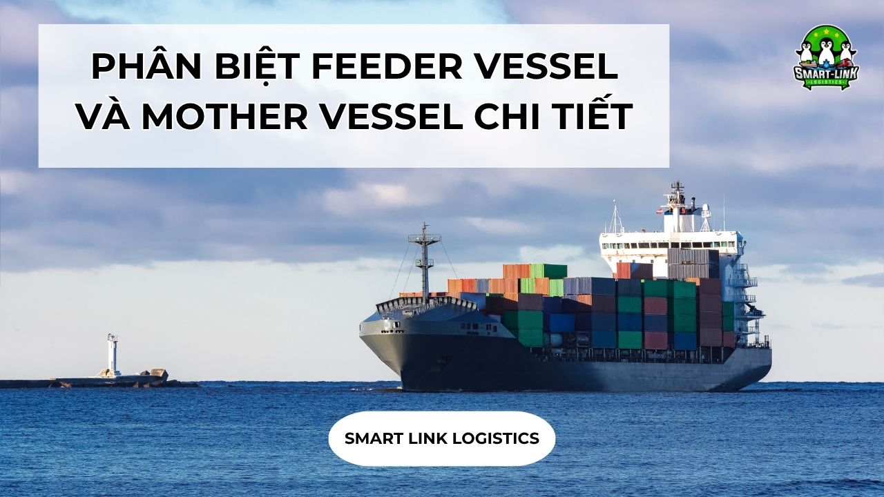 PHÂN BIỆT FEEDER VESSEL VÀ MOTHER VESSEL CHI TIẾT - Smartlink