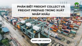 PHÂN BIỆT FREIGHT COLLECT VÀ FREIGHT PREPAID TRONG XUẤT NHẬP KHẨU ...