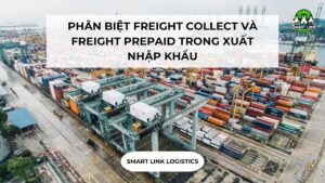 PHÂN BIỆT FREIGHT COLLECT VÀ FREIGHT PREPAID TRONG XUẤT NHẬP KHẨU ...